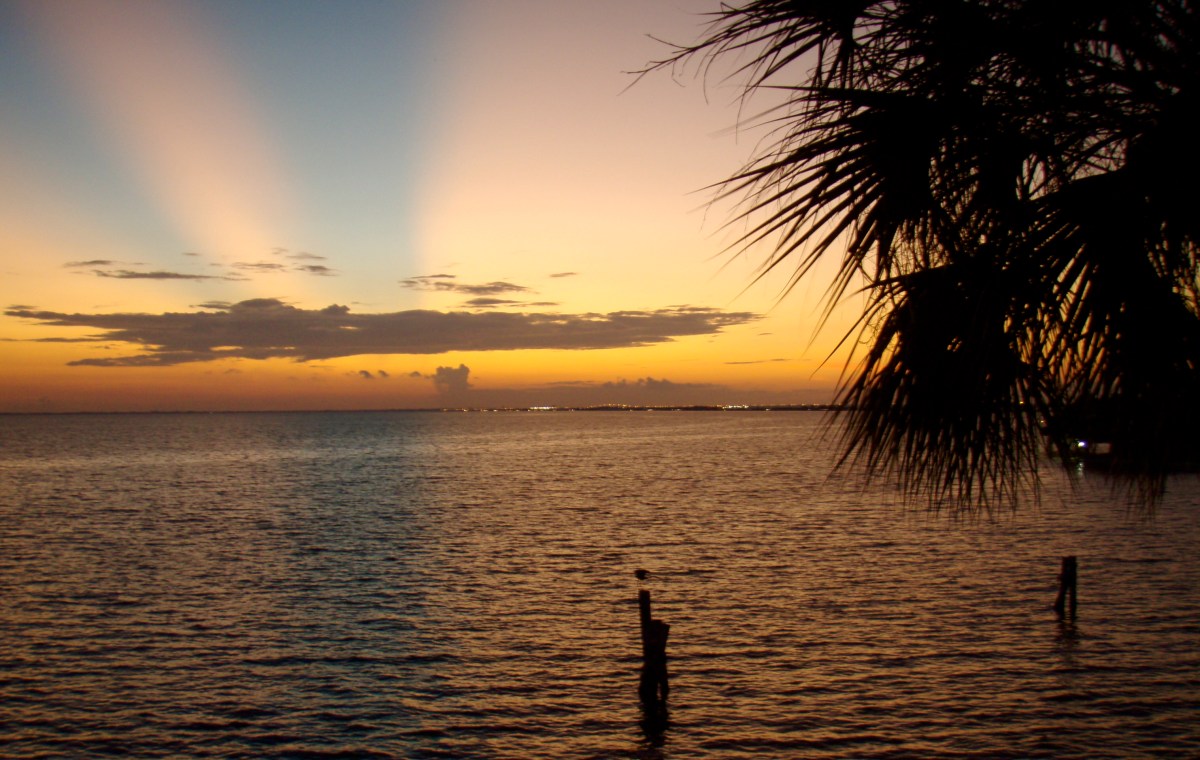 Mayor Launches Blacktip Island Motto Contest | The Blacktip Times