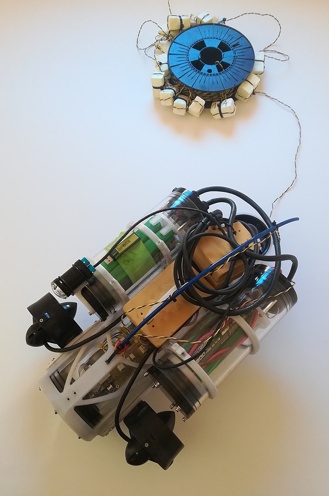 Lionfish-Culling Robots Run Wild On Blacktip Island Reefs | The ...